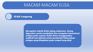 ELISA DAN RIA.pptx