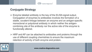 Elisa Development Guide | PPT