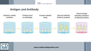Elisa Development Guide | PPT