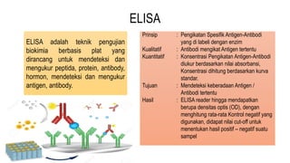 EbbbbbbbbbbbbbbbbbbbbbbbbbbbbLISA_IRA-62909435[2].pptx