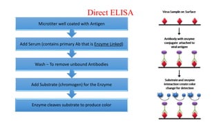 Competitive Elisa Ppt