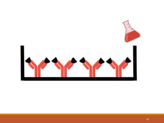 Competitive Elisa Animation