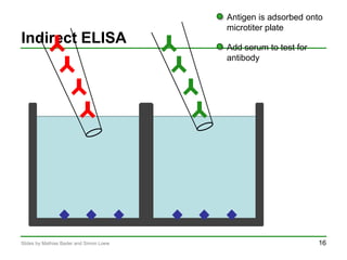ELISA Test: Enzyme-linked Immunosorbent Assay | PPTX