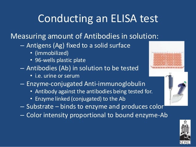 Elisa part1 ppt