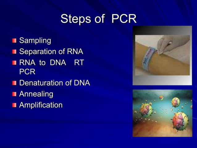 ELISA & PCR.ppt