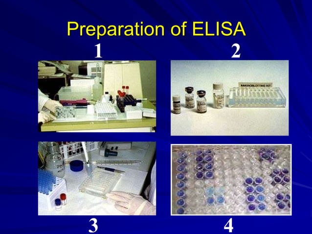 ELISA & PCR.ppt and munological test and pcr | PPT | Free Download