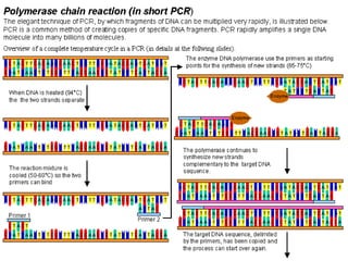 ELISA & PCR.ppt and immunoloical study and tests | PPT