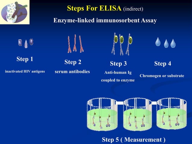 ELISA & PCR.ppt and immunoloical study and tests | PPT