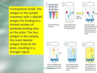 ELISA plates.pdf