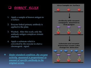 Direct Elisa