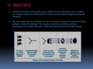 ELISA Powerpoint Presentation | PPTX
