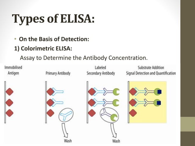 Elisa ppt | PPTX | Chemistry | Science