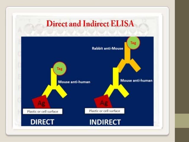 Elisa ppt | PPTX | Chemistry | Science