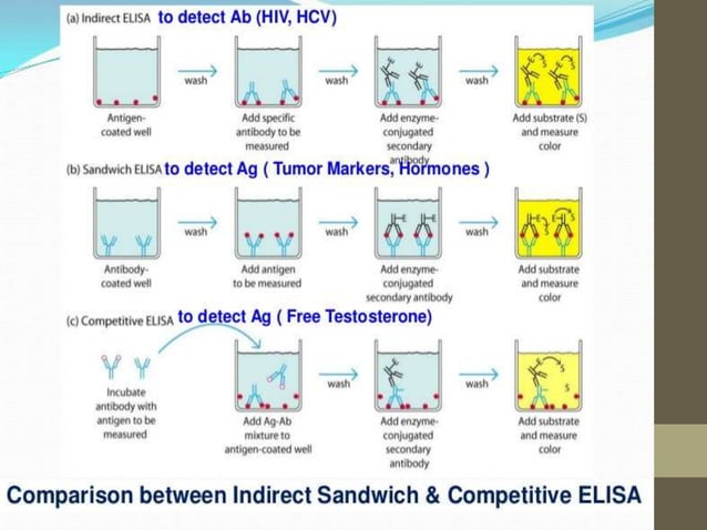 Elisa ppt | PPTX | Chemistry | Science