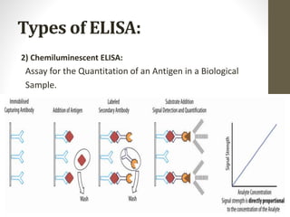 Competitive Elisa Ppt