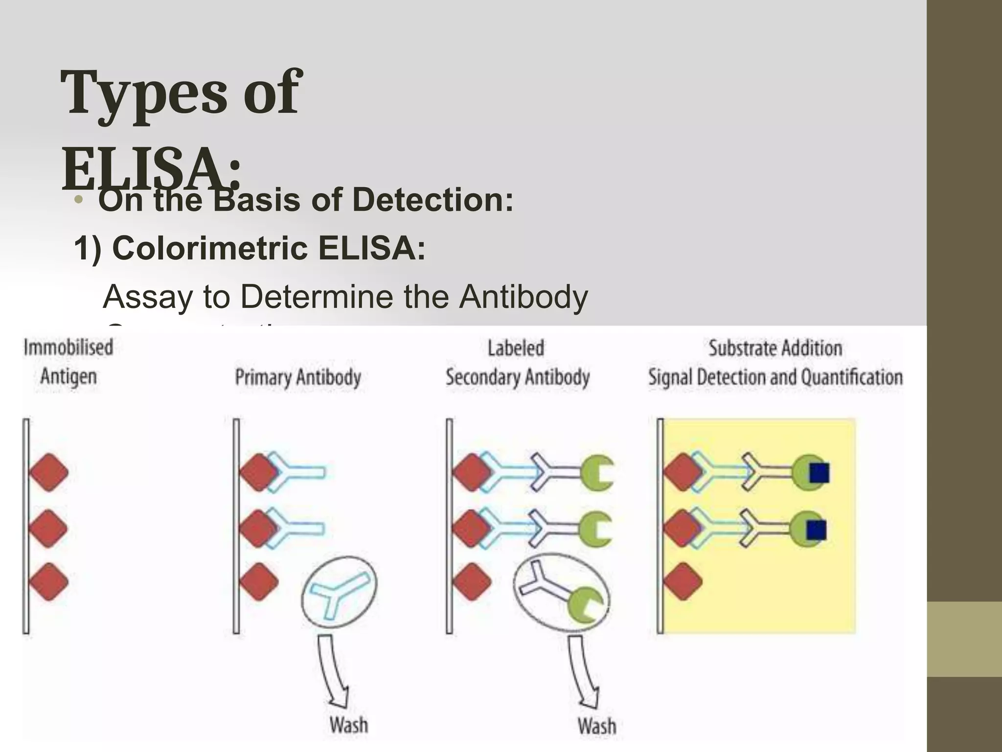 elisa ppt class-converted.pptx