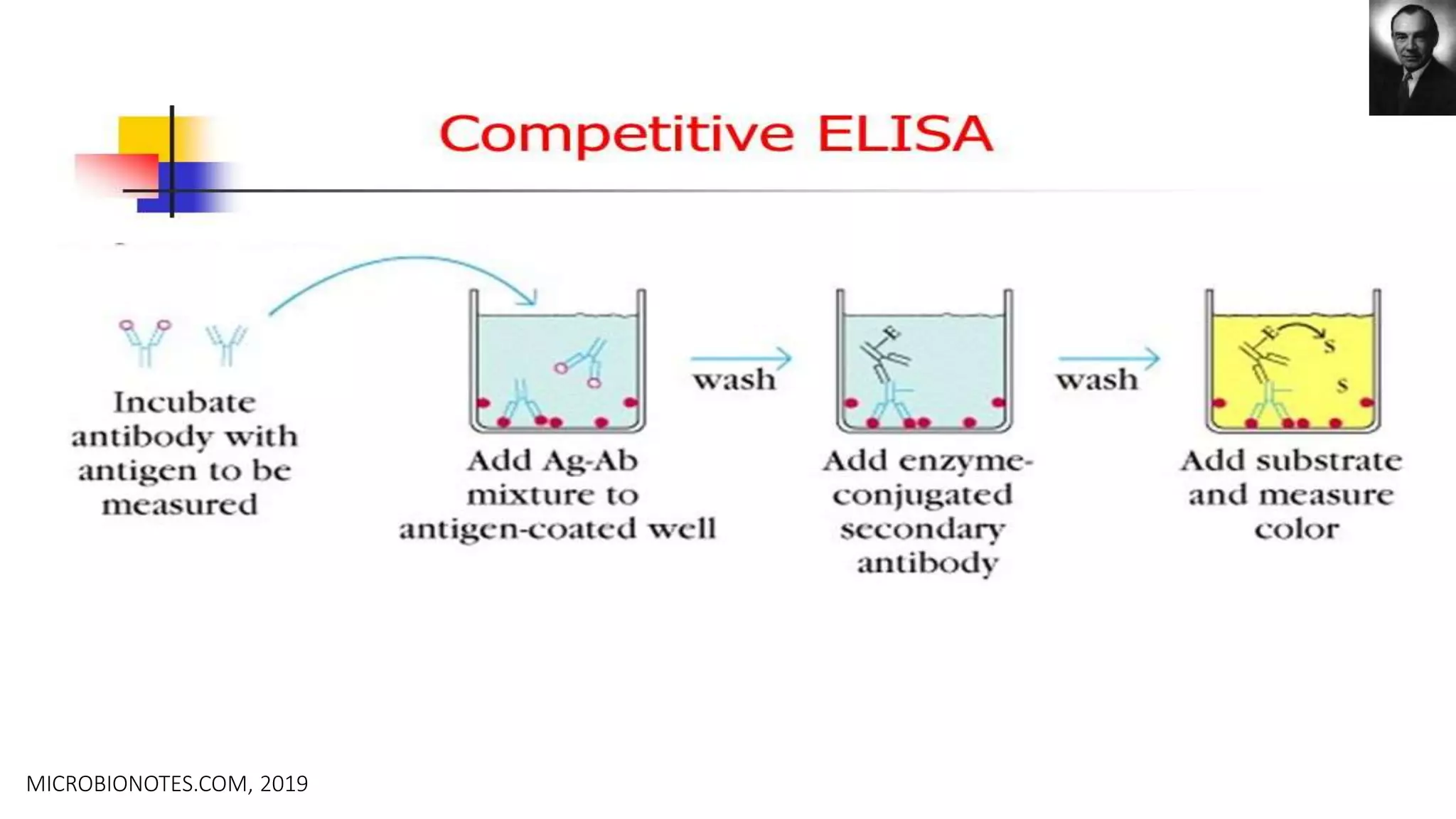 Elisa presentations 2020 | PPTX | Chemistry | Science