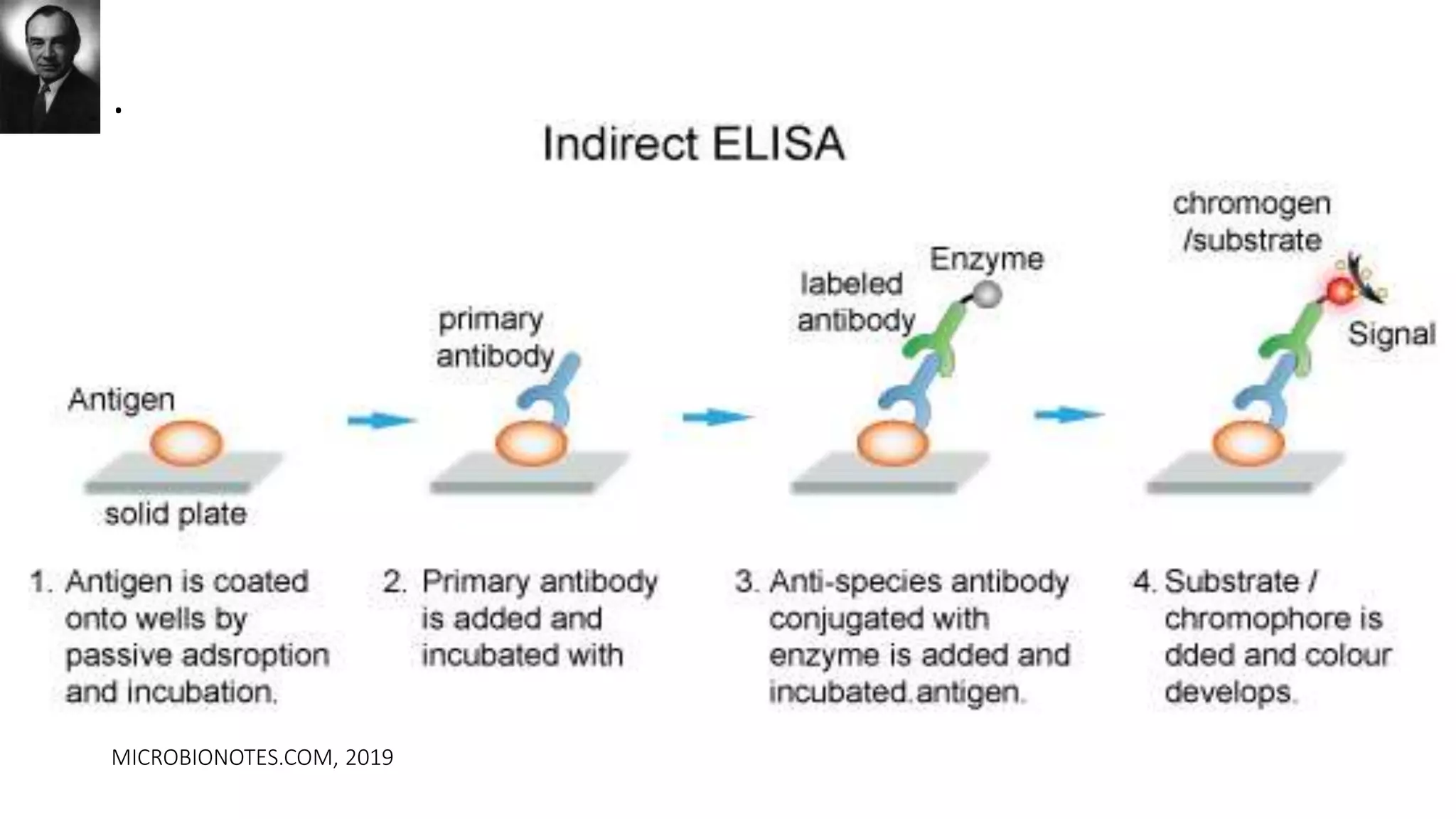 Elisa presentations 2020 | PPTX | Chemistry | Science