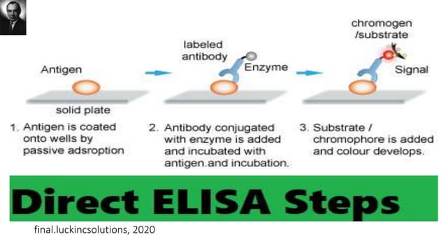 Elisa presentations 2020 | PPTX | Chemistry | Science