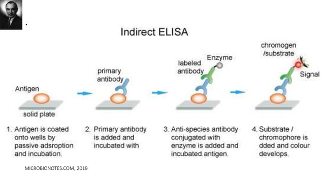Elisa presentations 2020 | PPTX | Chemistry | Science