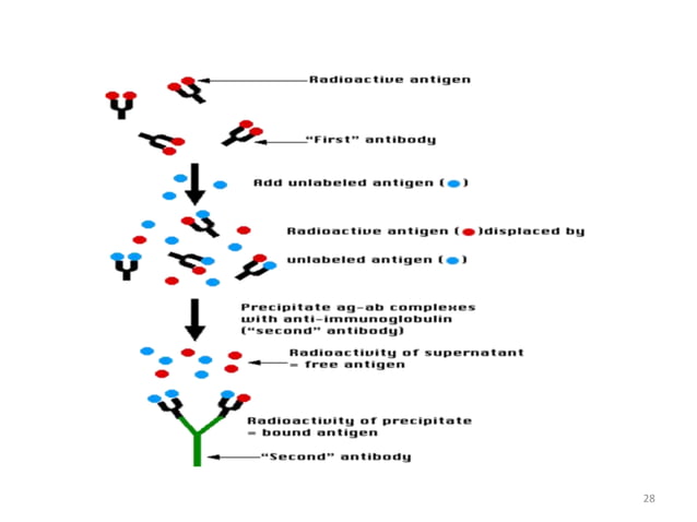 immunological assays - ELISA and RIA | PPTX