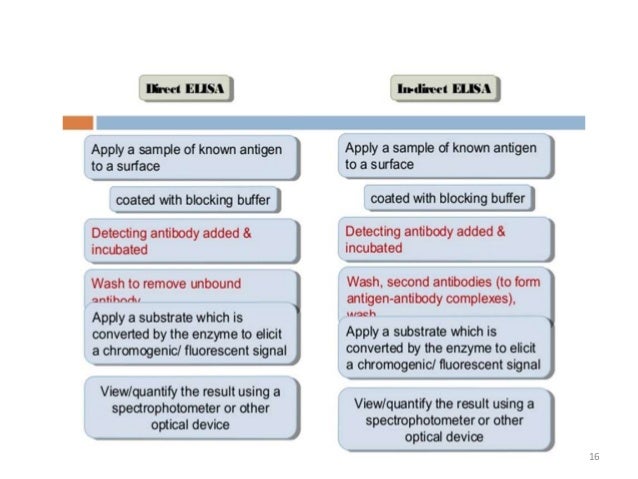 immunological assays - ELISA and RIA