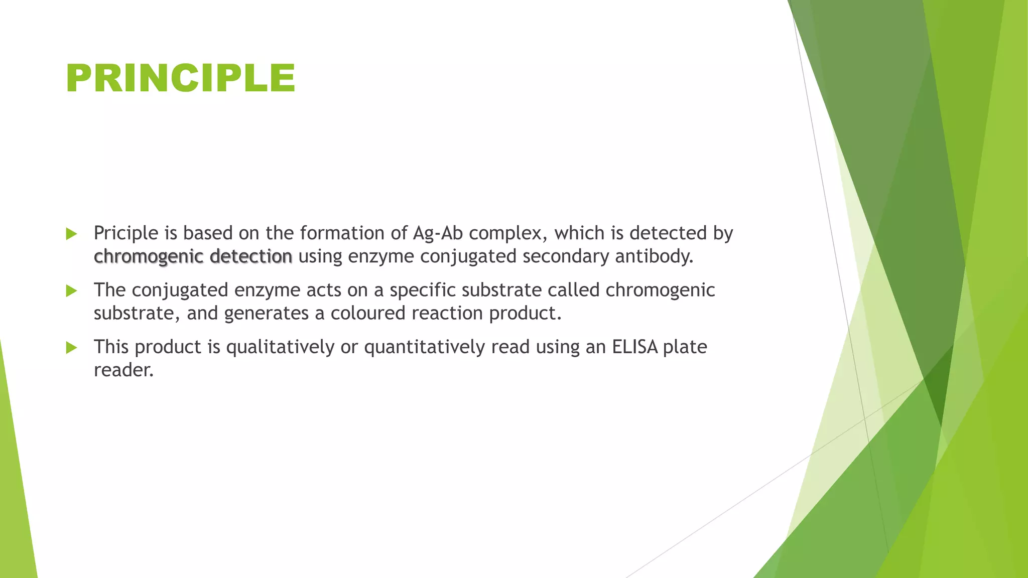 Elisa | PPTX
