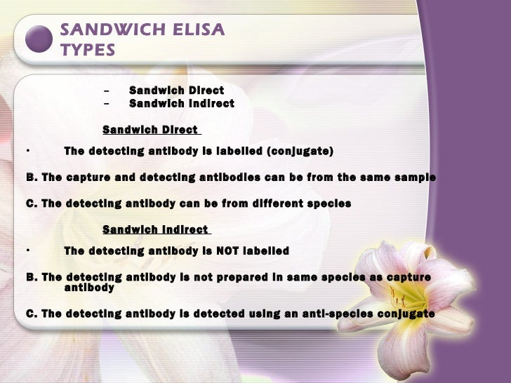 5 Types Of Elisathe Differences And Principle Explained