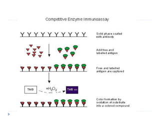 Elisa technique 1 | PPT