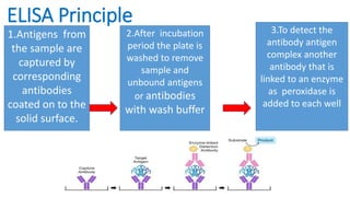 ELISA TEST.pptx