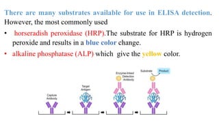 ELISA TEST.pptx