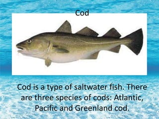 Different types of fish | PPTX
