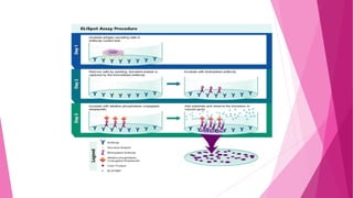 Elispot | PPTX