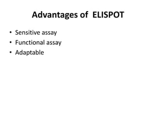 ELISA Vs ELISPOT - Principle, Procedure, Advantages | PPTX