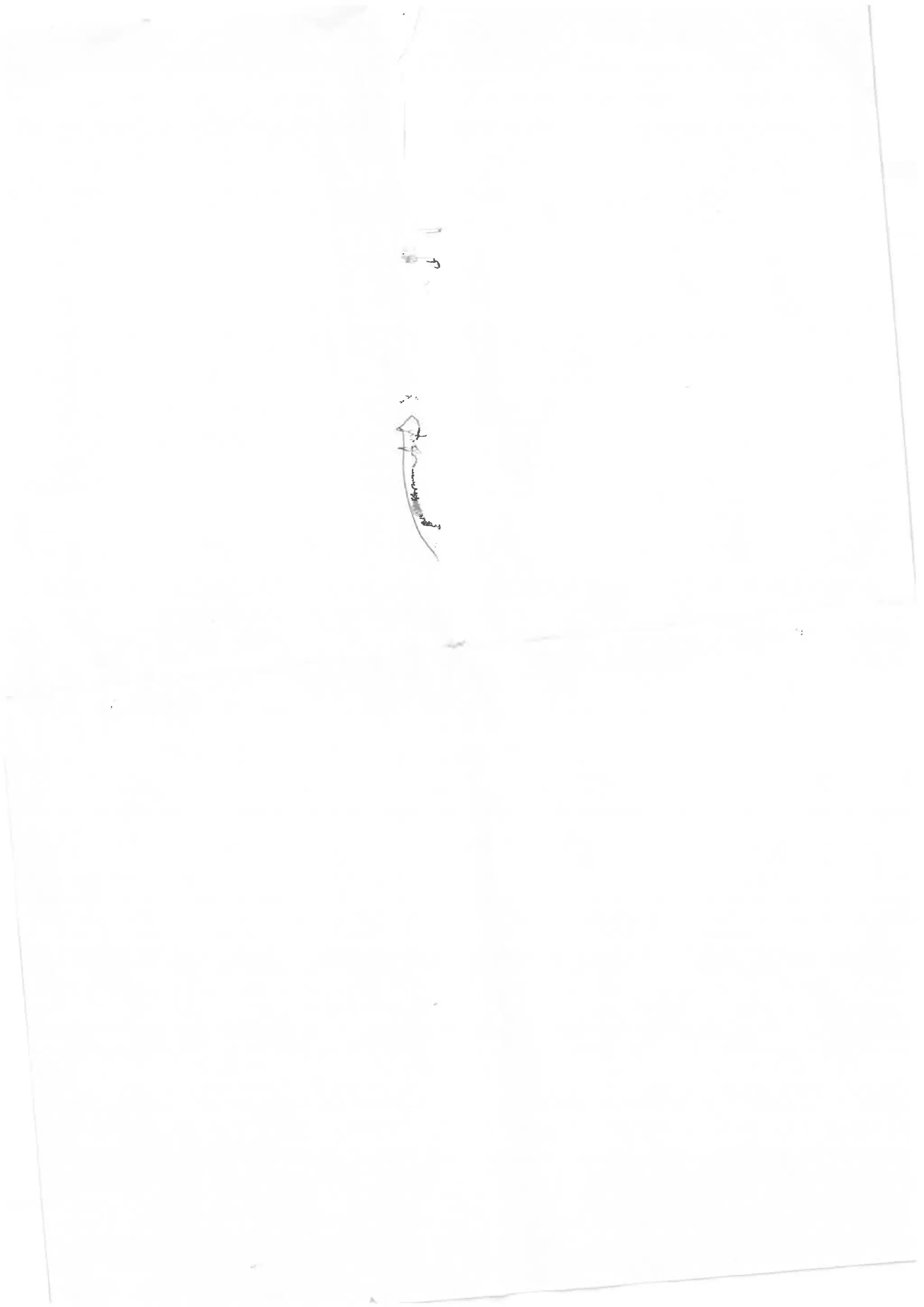 Elissia storyboard | PDF