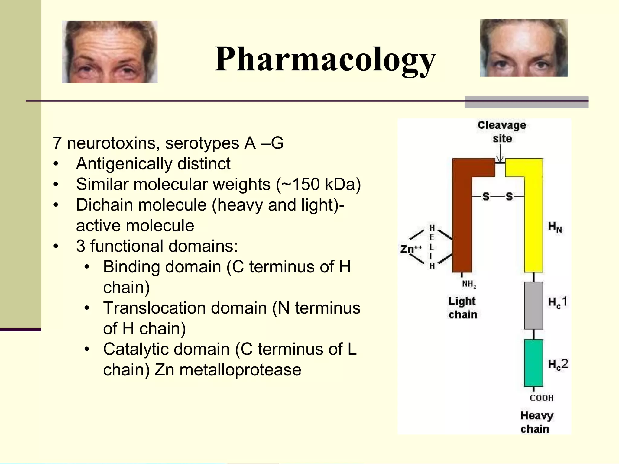 botox training | PDF