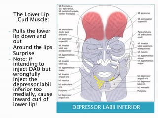 botox training | PDF