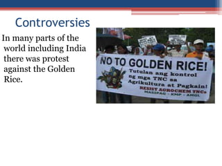 Golden Rice Protest