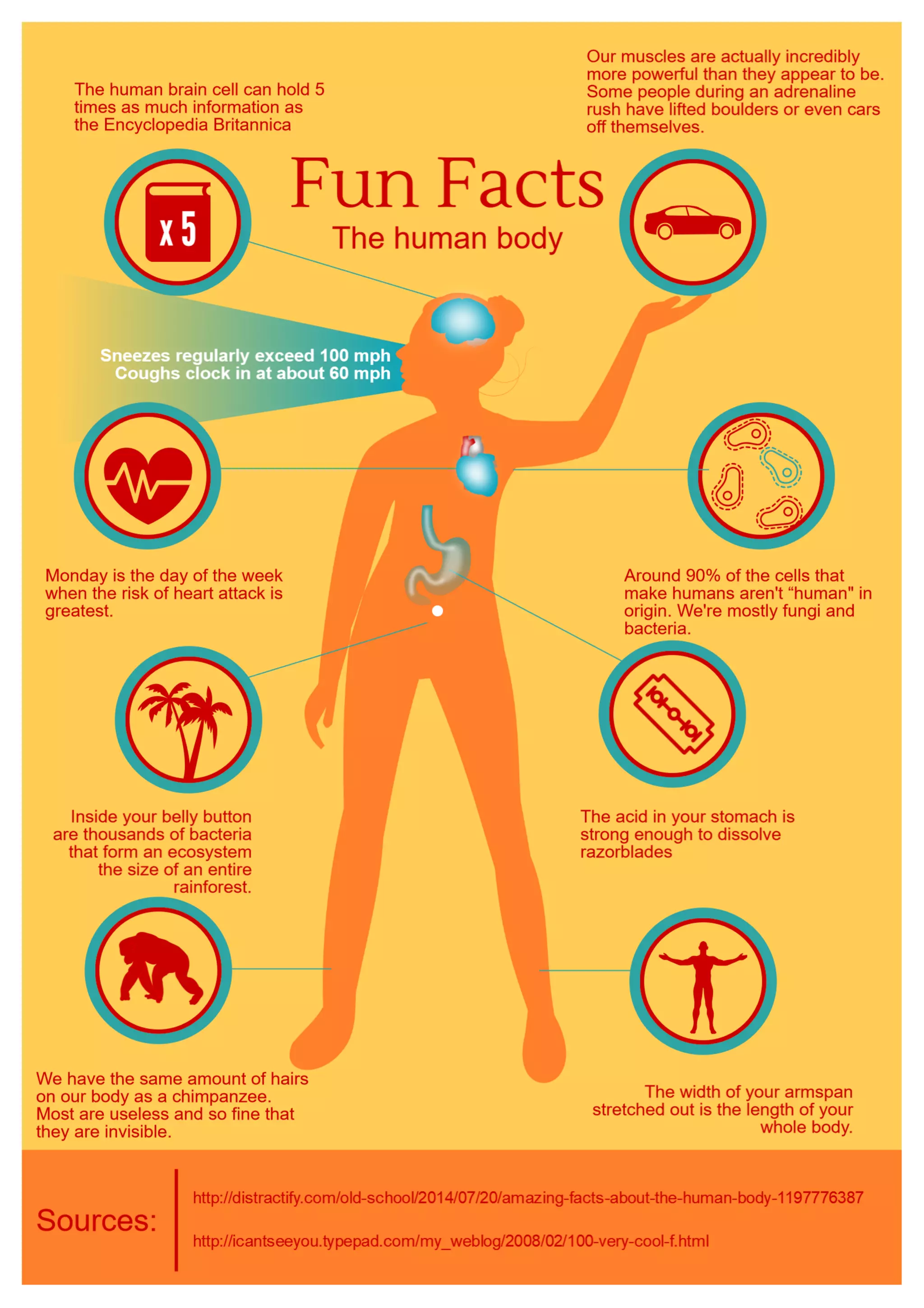 Elite Star VA Fun Facts Infographic | PDF