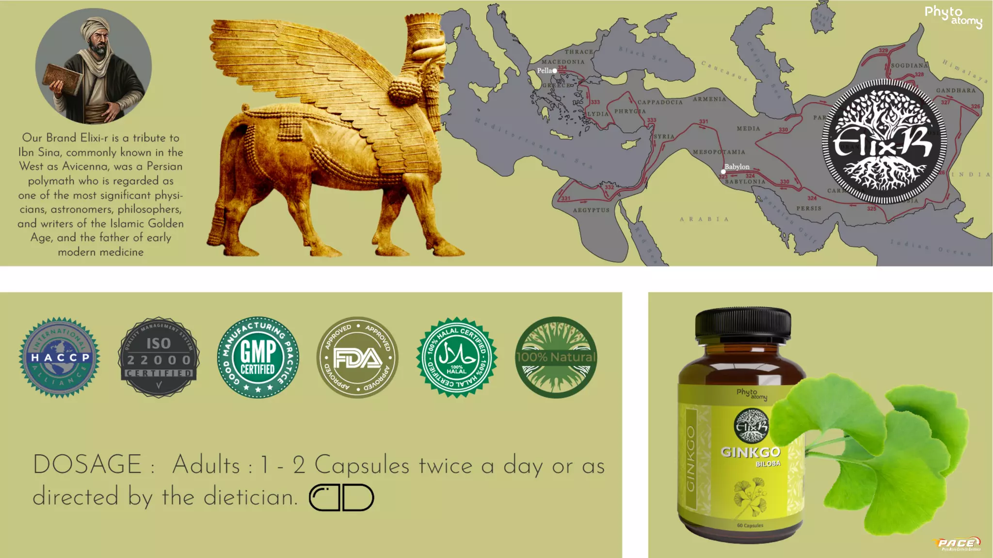 Elixr Ginkgo Biloba 60 capsules by Phyto Atomy.pdf | Herbs and ...