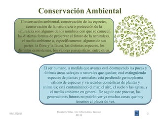 CONSERVACION DEL AMBIENTE | PDF