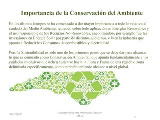 CONSERVACION DEL AMBIENTE | PDF
