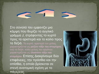 Πεπτικό έλκος | PPT