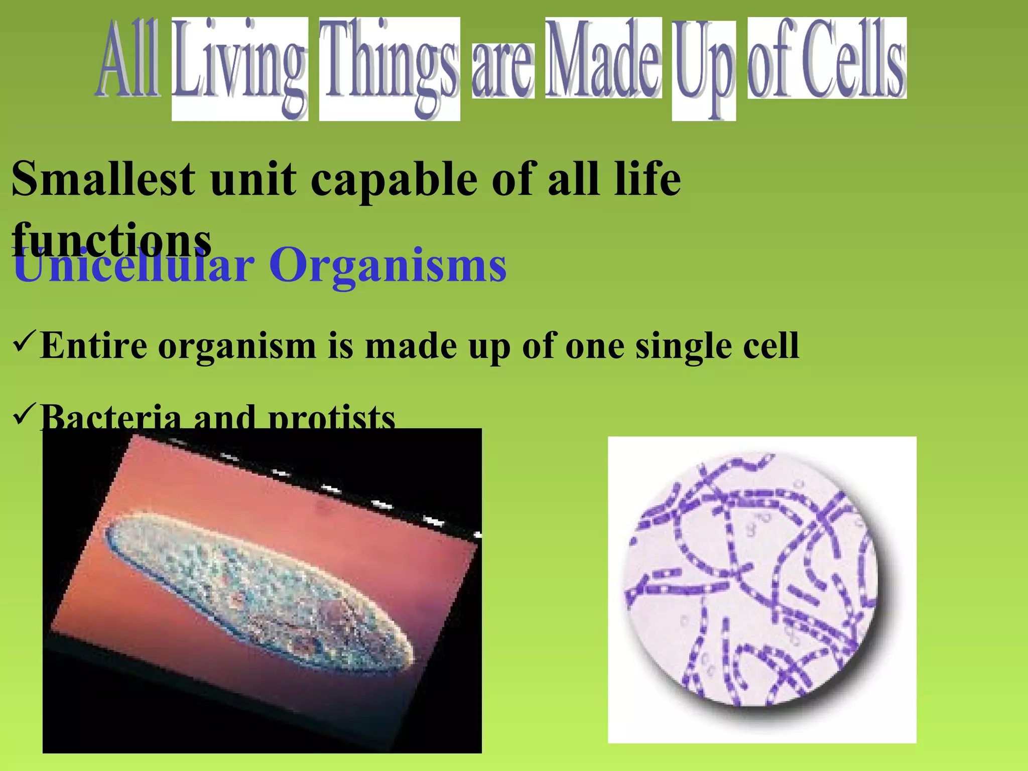 Earth and Life Science "Introduction to life" | PPT