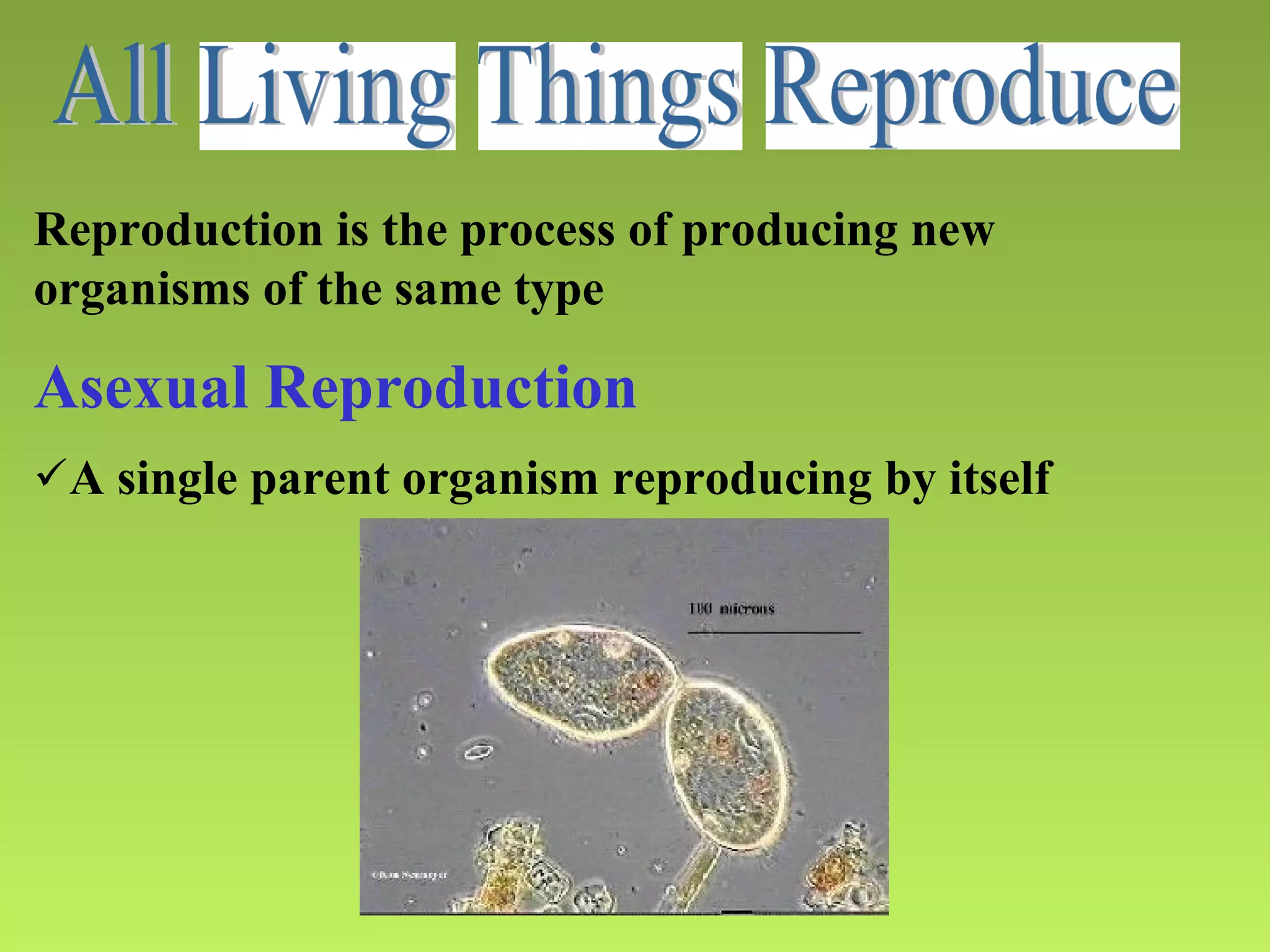 Earth and Life Science "Introduction to life" | PPT