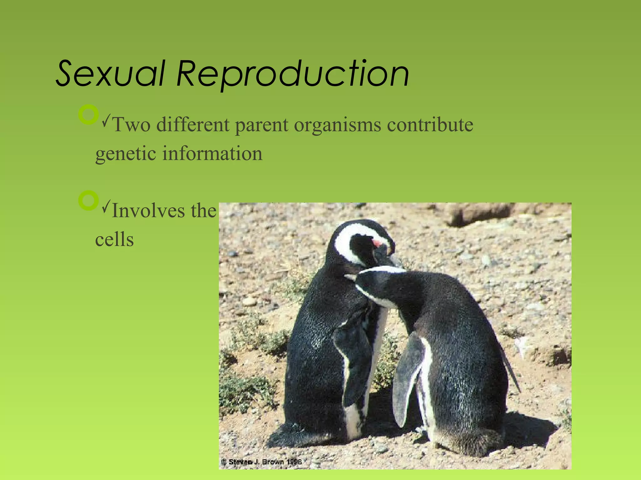 Earth and Life Science "Introduction to life" | PPT