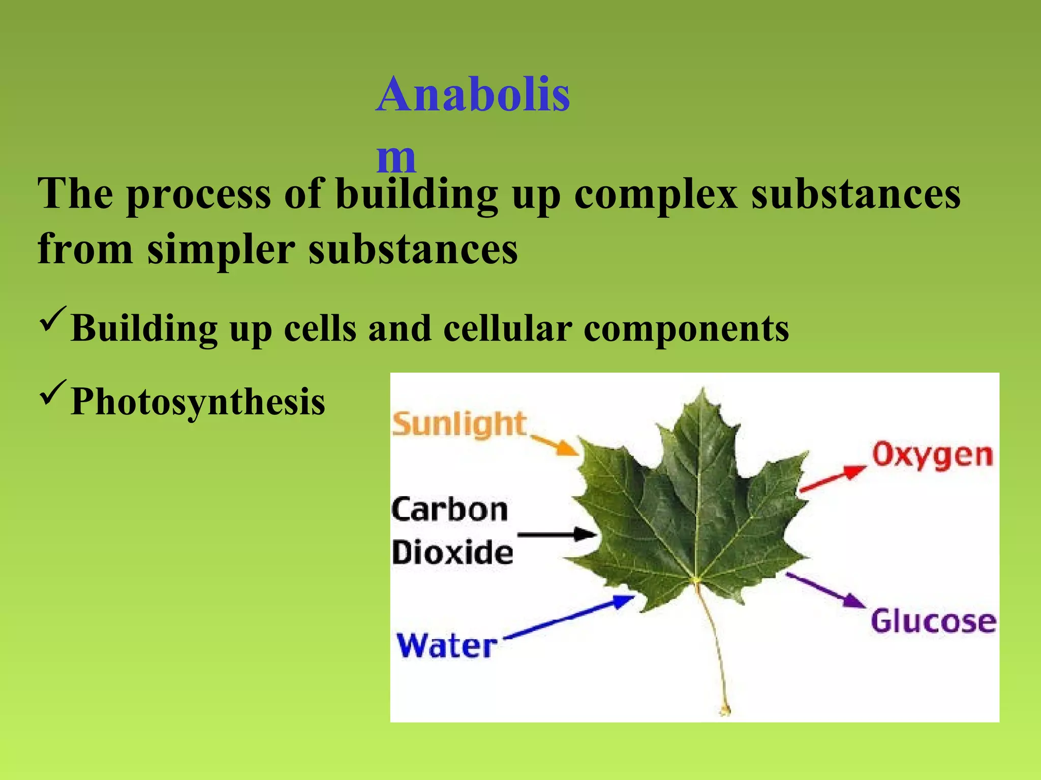 Earth and Life Science "Introduction to life" | PPT