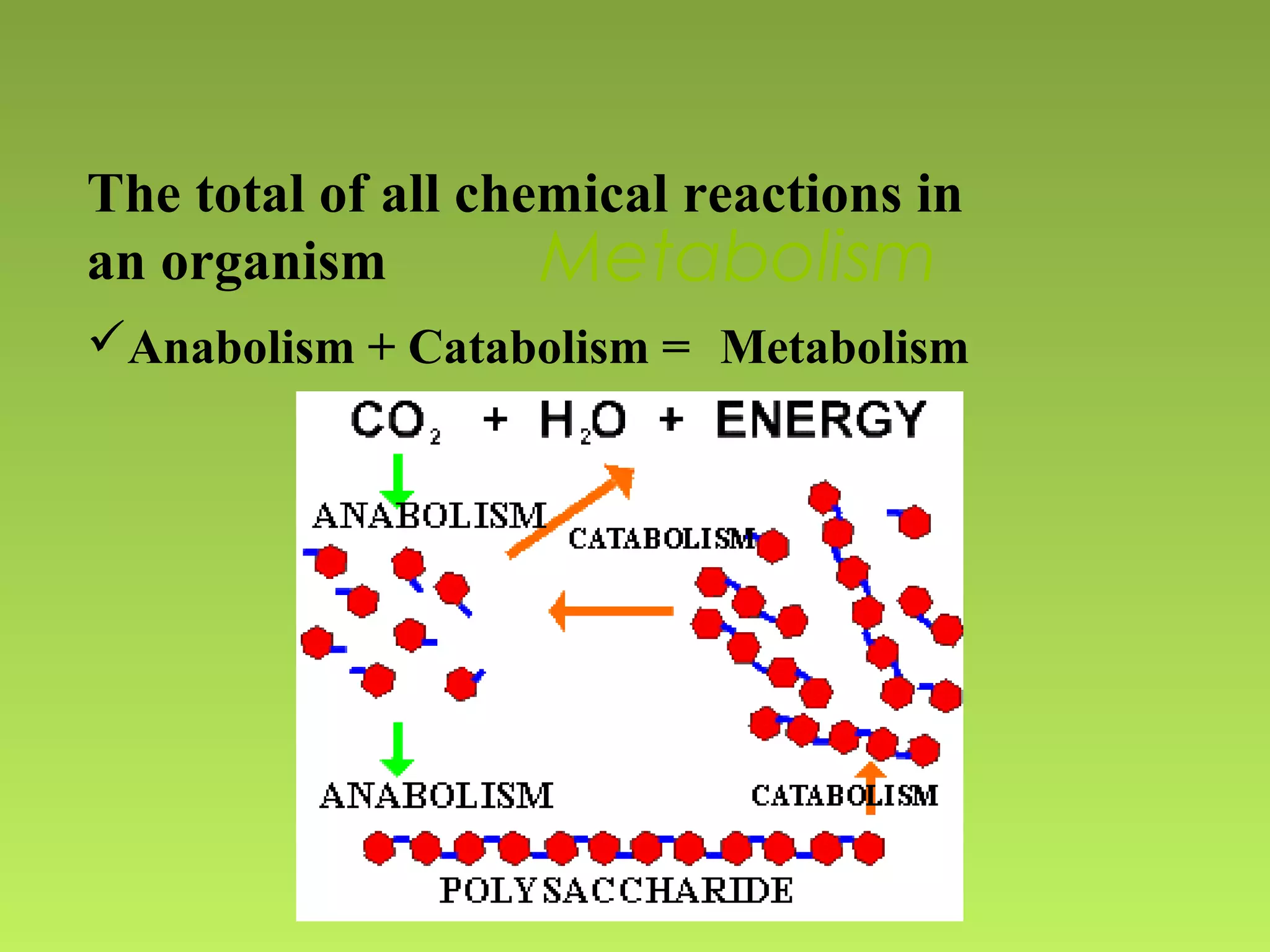 Earth and Life Science "Introduction to life" | PPT