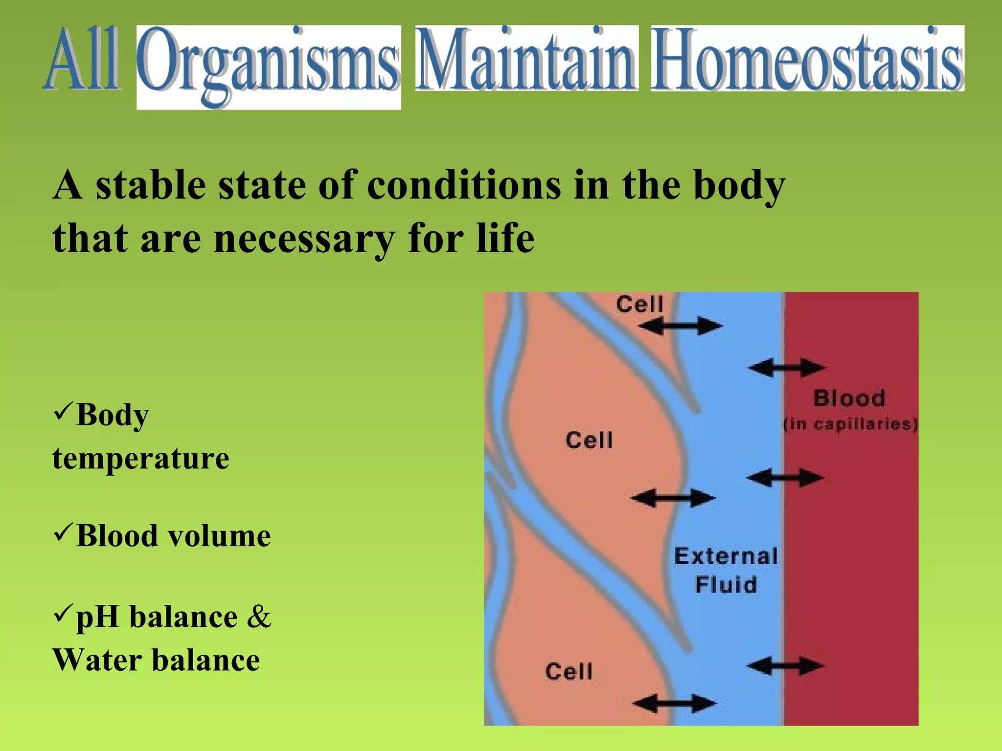Earth and Life Science "Introduction to life" | PPT
