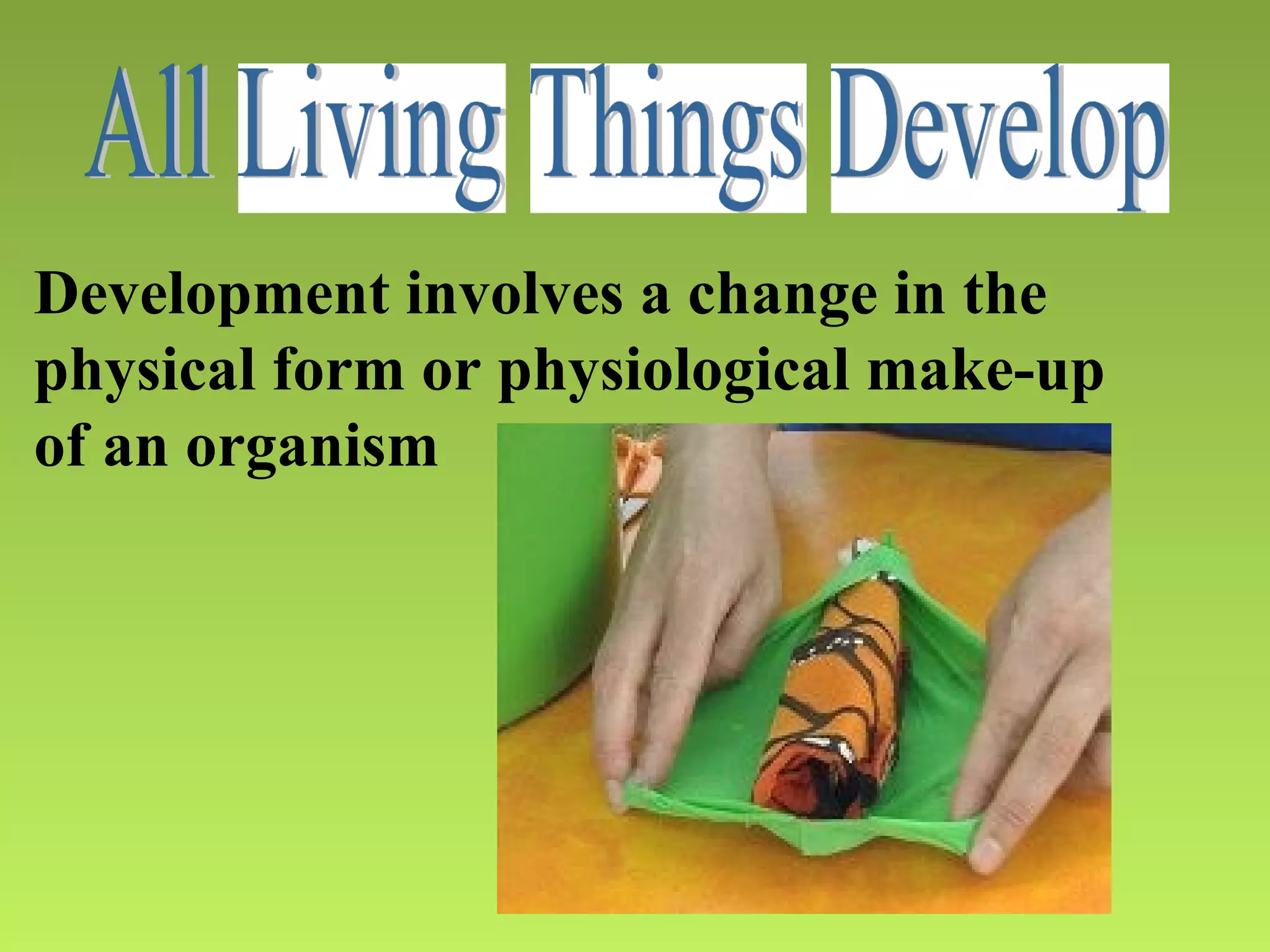 Earth and Life Science "Introduction to life" | PPT